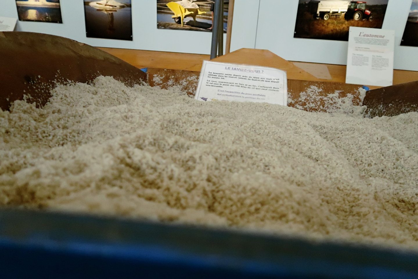 Famous Celtic Salt and Medieval City - MIYA Elsewhere